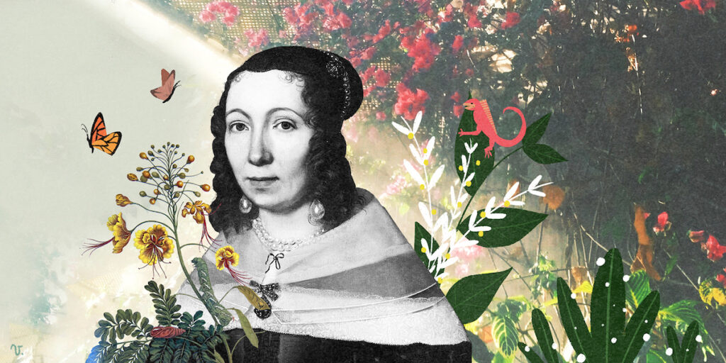 Maria Sibylla Merian: Entre a arte e a ciência - ESCS Magazine